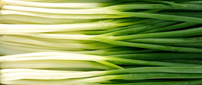 Green Onions - Nature's Reward